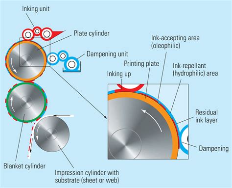 Offset Printing Diagram Blog Printing Process Commercial Vs Gang Run