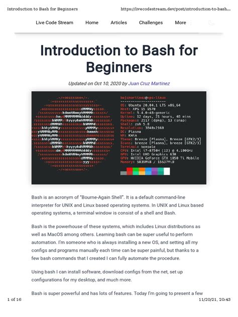 Introduction To Bash For Beginners Pdf Control Flow Shell Computing