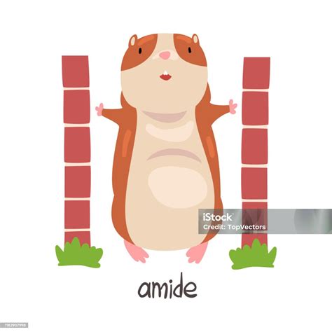 장소와 귀여운 햄스터 캐릭터의 영어 전치사 어린이 교육 벡터 일러스트를위한 교육 시각적 자료 귀여운에 대한 스톡 벡터 아트 및