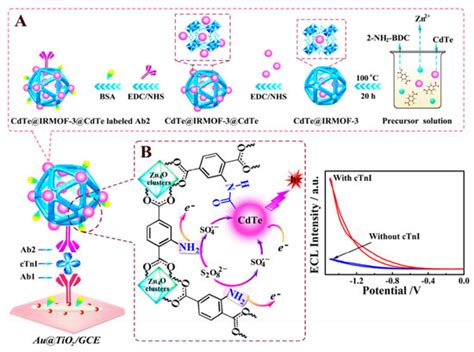 Biosensors Special Issue Bioassays And Biosensors For Rapid