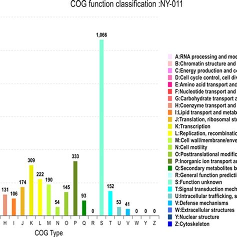 The COG Function Classification Of Strain NY 011 Download Scientific Diagram