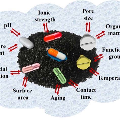 Factors Influencing Adsorption Of Antibiotics Over Activated Carbon Download Scientific