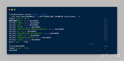 Linux下可执行文件分析 知乎