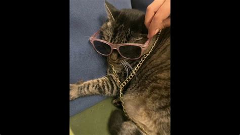 𝙴𝚕𝚜𝚊 𝚎 𝙵𝚎𝚕𝚒𝚡 Youtube