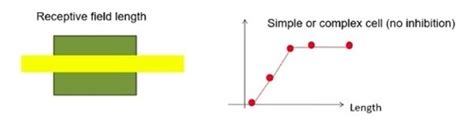 Spatial Vision Flashcards Quizlet Spatial Vision Flashcards Quizlet