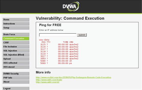 Im Newbie Dvwa Command Execution Low Level