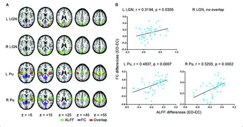 Overlap Maps And Correlation Results A Overlap Of Group Level Fc