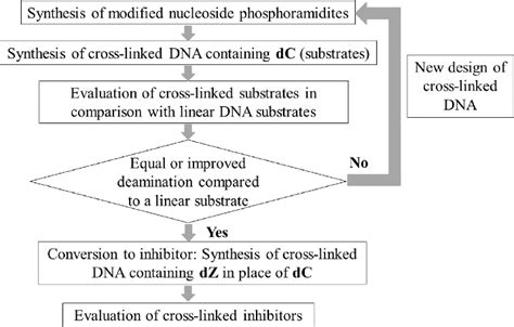 Methodology For The Design And Evaluation Of Cross Linked Substrates Download Scientific