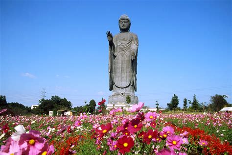 牛久大仏 観光いばらき公式ホームページ
