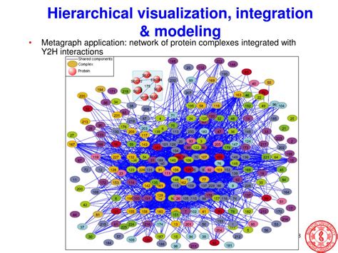 Ppt Multiple Scale Visualization And Modeling Of Biological Networkspathways Powerpoint