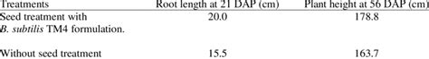 The Effect Of B Subtilis Tm4 Formulation To Root Length And Plant Download Scientific Diagram