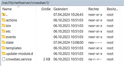 Crowdsec Does Not Start Support Nethserver Community