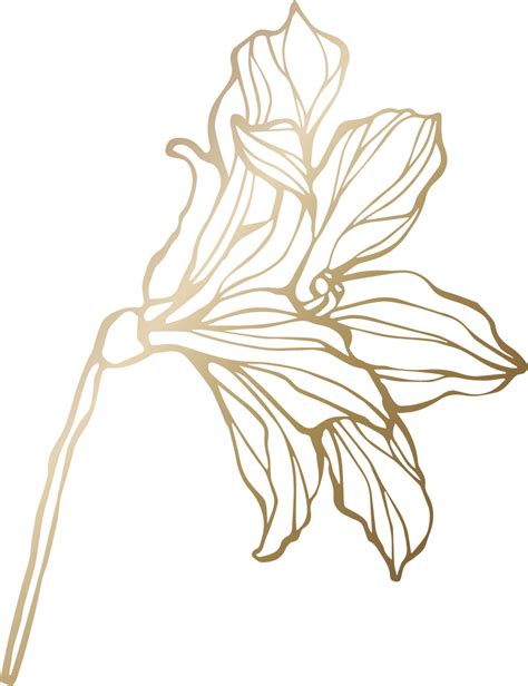 Holistic Massage Therapy Rmt — Planting Seeds Weaving Medicines