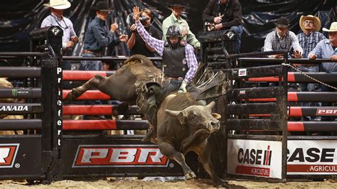 Pbr Bull Riding Wallpaper 69 Images