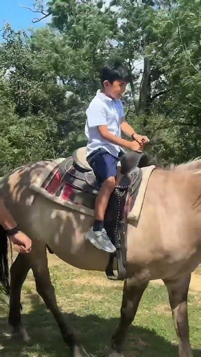 اسپ سواری Youtube