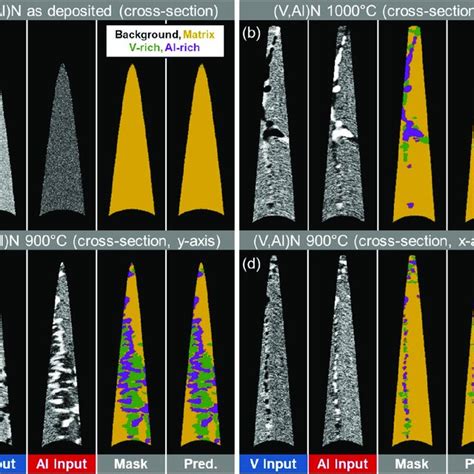 Input Images Masks And Predictions Of The Validation Set For Samples Download Scientific