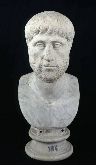 Retrato De Un Joven Mis Museos