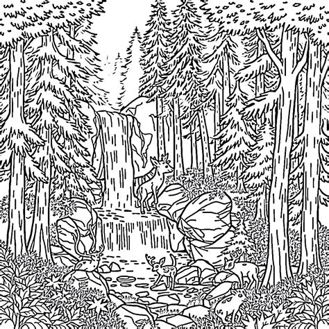 Best Forest Coloring Pages Free Printable Pdf