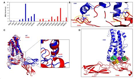 Hot Spots And Potential Binding Sites Located At The Osm Osmr Download Scientific Diagram