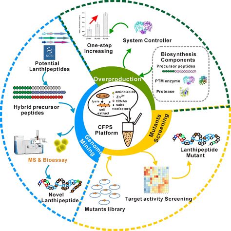《先进科学》发表刘天罡课题组研究成果 武汉大学药学院