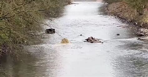 Welsh Water Bills To Rise Significantly To Tackle Pollution In Rivers Wales Online