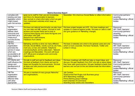 Matrix Report Overview Ppt