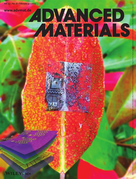 Pdf Photolithography‐based Microfabrication Of Biodegradable Flexible And Stretchable Sensors