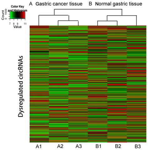Gene Microarray Analysis Of The Circular Rnas Expression Profile In