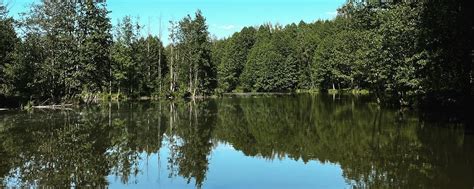 Вилла Першино - аренда домов с купелью | Приглашаем Вас в Виллу Першино ...
