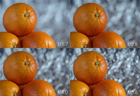 My Picture Is Blurry Background