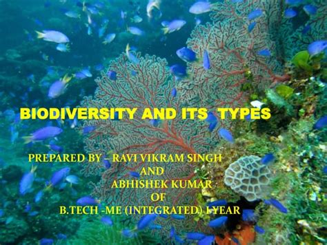 Introduction To Computer Theory Daniel Cohen Chapter 2 Solutions Pdf