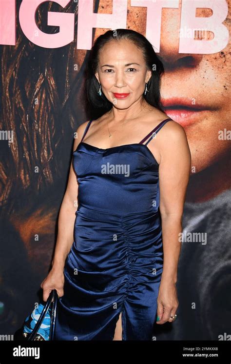 Los Angeles California November 20 Irene Bedard Attends The Los