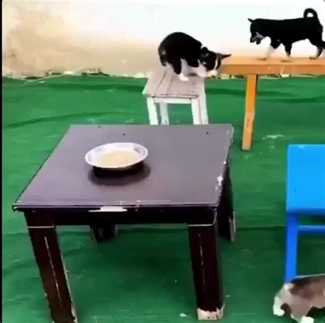 🚗 karol sarnek 🚀⚡️ on linkedin engineering machinelearning ai 10 comments