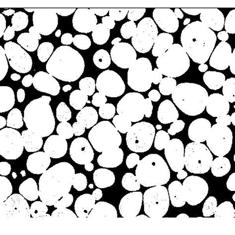 Binary Image After Thresholding Download Scientific Diagram