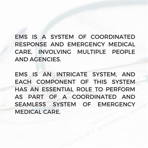 What Is EMS PDF