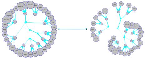 A Weighted Threshold Graph Showing The Overall Structure Of The