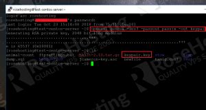 How To Generate A Self Signed SSL Certificate On Linux RoseHosting