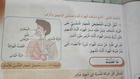 مسلك الهواء في الجهاز التنفسي درس التربية العلمية صفحة 12 و 13 للسنة