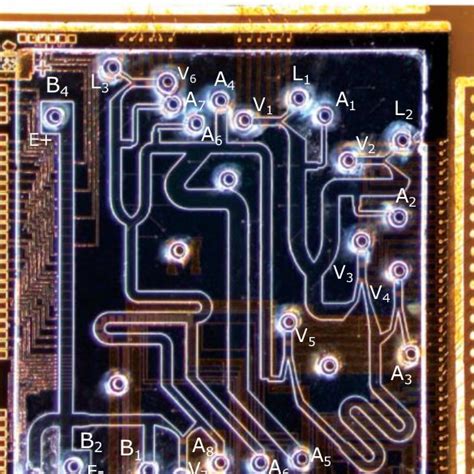 A Schematic Representation Of An Integrated Microfluidic Device Download Scientific Diagram