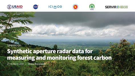 Synthetic Aperture Radar Data For Measuring And Monitoring Forest