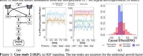 Figure 1 From Integrating Markov Processes With Structural Causal Modeling Enables