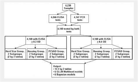 Statistical Procedures Flow Download Scientific Diagram