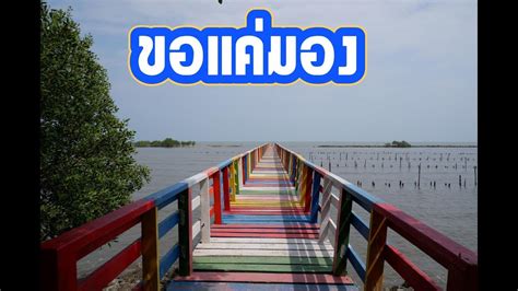 ขอแค่มอง Youtube