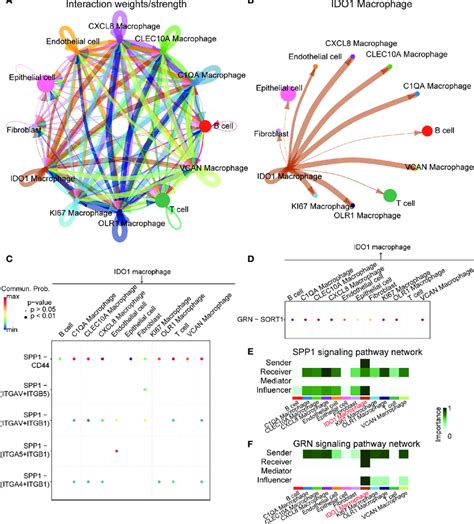 Cell Cell Interaction Analysis Of Ido1 Macrophage A Overall
