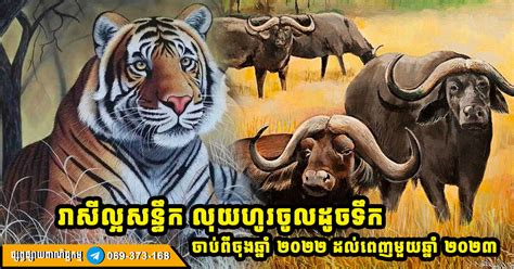 ឆ្នាំទាំង ៣ រាសីល្អសន្ធឹក លុយចូលដូចទឹកចាប់ពីចុងឆ្នាំ ដល់ពេញមួយឆ្នាំ ២០២៣ Knongsrok