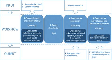 Rna Sequencing And Analysis In Microorganisms For Metabolic Network Reconstruction Rna Seq Blog