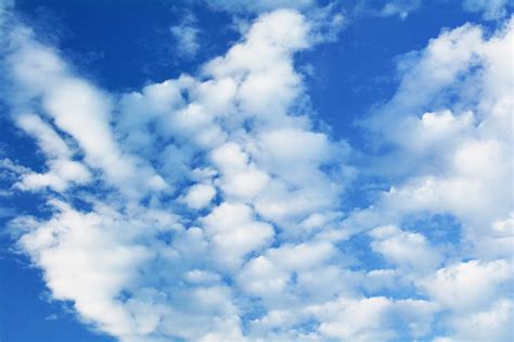 하늘 흰 구름 배경이 있는 푸른 하늘 화창한 여름날에 곱슬곱슬한 구름 흐린 빛 좋은 날씨 여름 포스터를 위한 간단한 배경 하늘입니다 여름 모형 소프트 포커스 경관에 대한