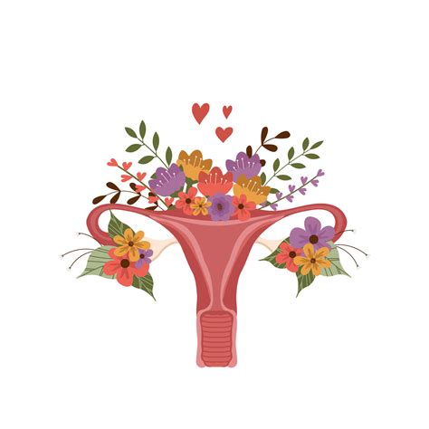 Vector Abstract Drawing Of A Healthy Female Uterus With Flowers Women