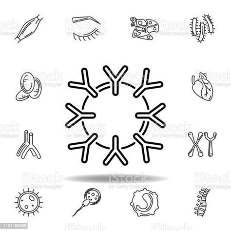 인간의 장기 면역 체계 개요 아이콘의 집합입니다 표지판 및 기호는 웹 로고 모바일 앱 Ui Ux에 사용할 수 있습니다 교육에 대한 스톡 벡터 아트 및 기타 이미지 Istock