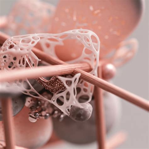 Social Support Buffering Hypothesis → Area → Resource 1